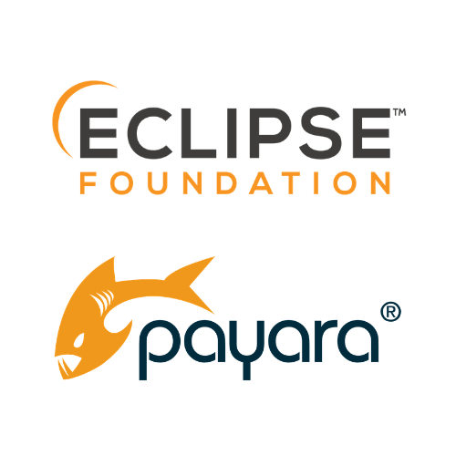 Member Case Study - Payara Services Gains an Equal Footing With ...