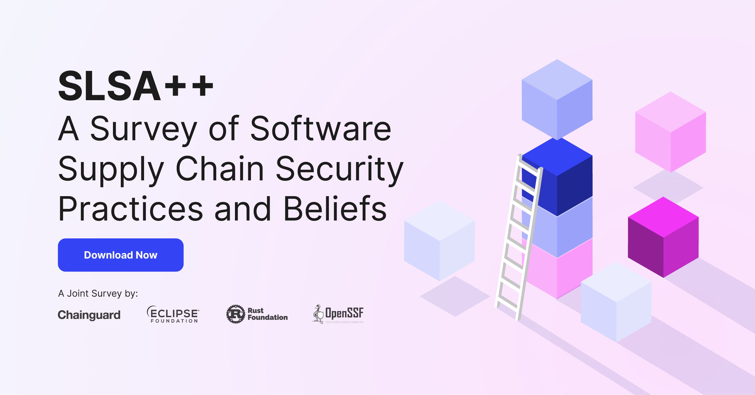 SLSA++ Survey of Software Supply Chain Security Practices and Beliefs